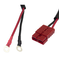 12004943 - APTIV (formerly Delphi)